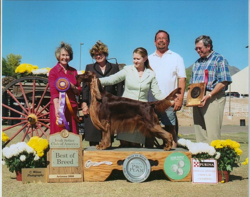 Past National Specialty Winners – Irish Setter Club of America, Inc.