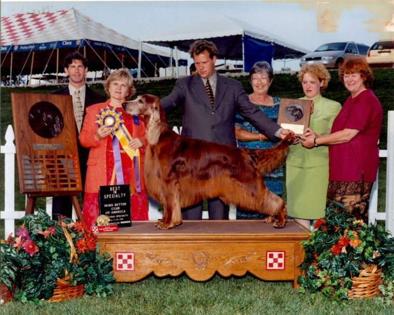 Past National Specialty Winners – Irish Setter Club of America, Inc.