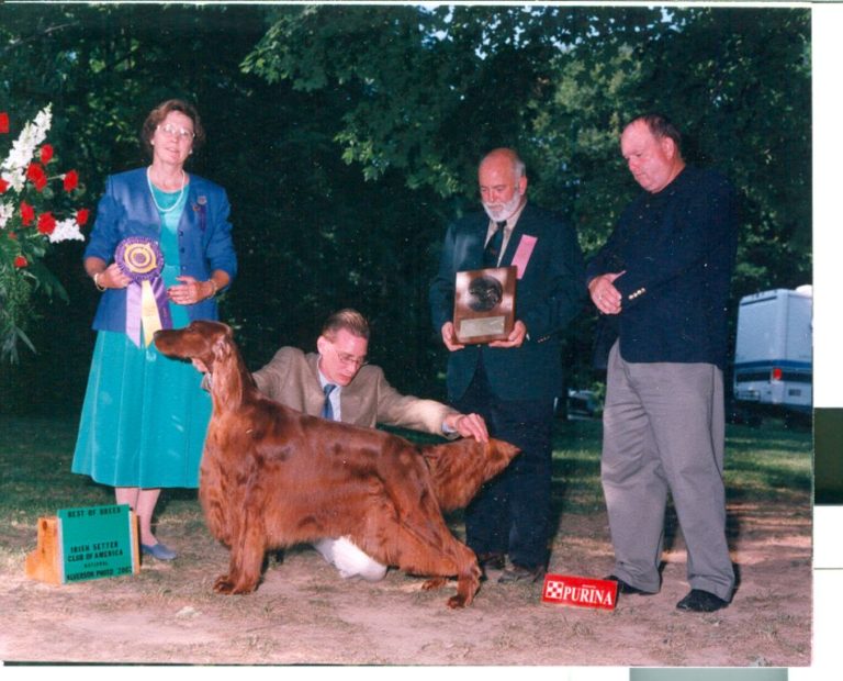 Past National Specialty Winners – Irish Setter Club of America, Inc.