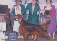Past National Specialty Winners – Irish Setter Club of America, Inc.