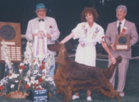 Past National Specialty Winners – Irish Setter Club of America, Inc.