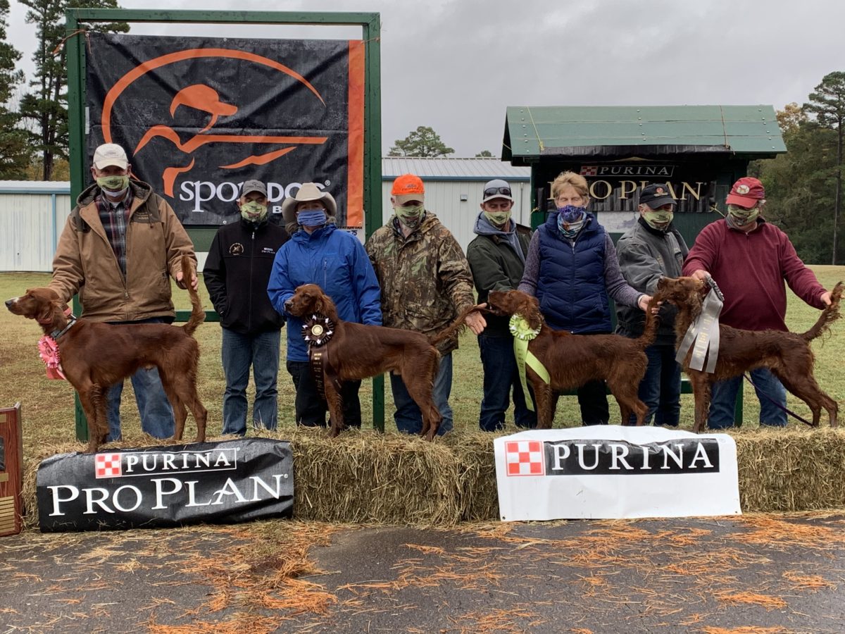 2020 National Field Trial Irish Setter Club Of America Inc