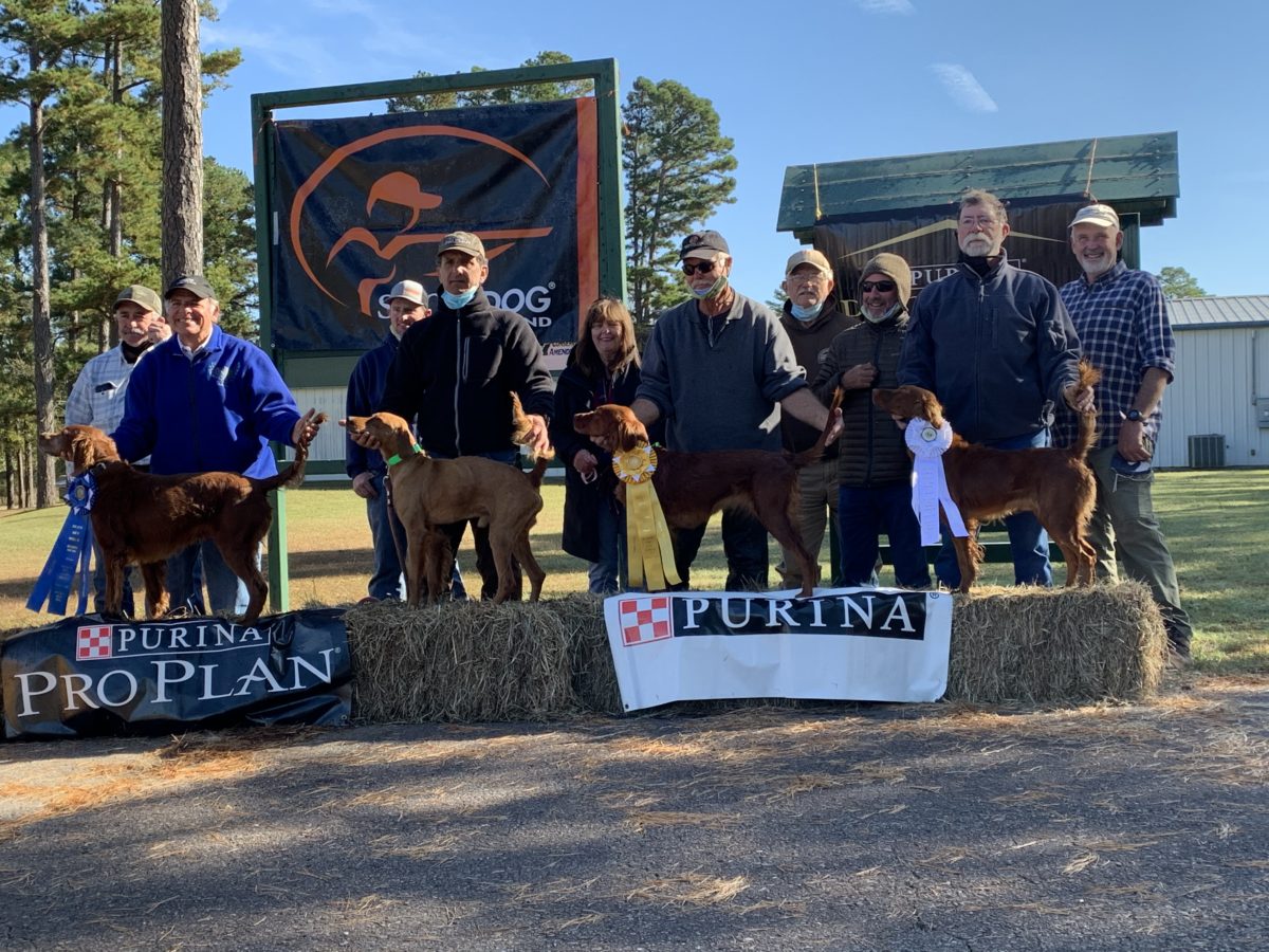 2020 National Field Trial – Irish Setter Club of America, Inc.