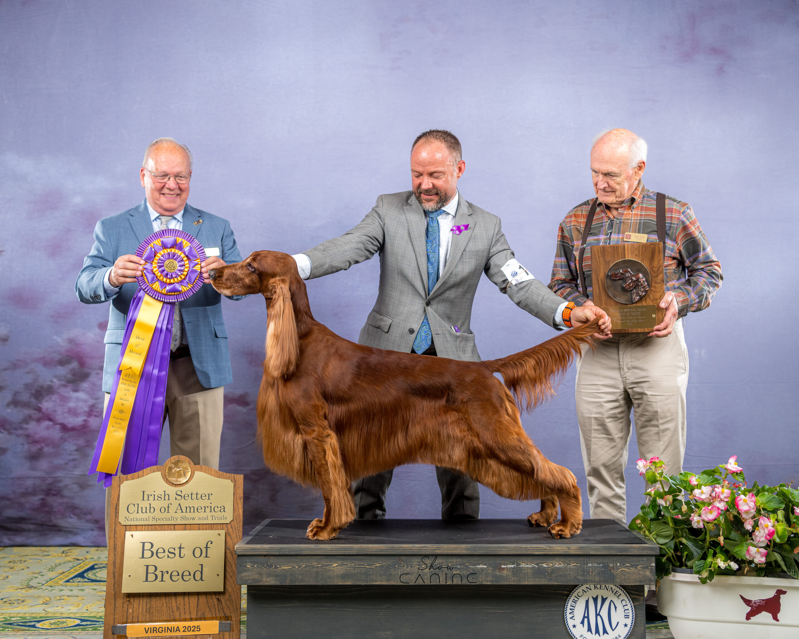 Past National Specialty Winners – Irish Setter Club of America, Inc.